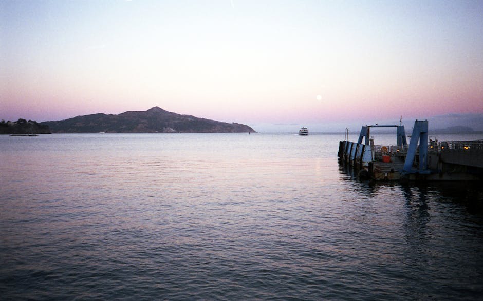 6 Major Wins in 2025—Help Us Start 2026 Strong - Save Our Sausalito